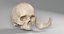3D model realistic skull - TurboSquid 1291994