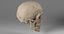 3D model realistic skull - TurboSquid 1291994
