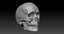 3D model realistic skull - TurboSquid 1291994