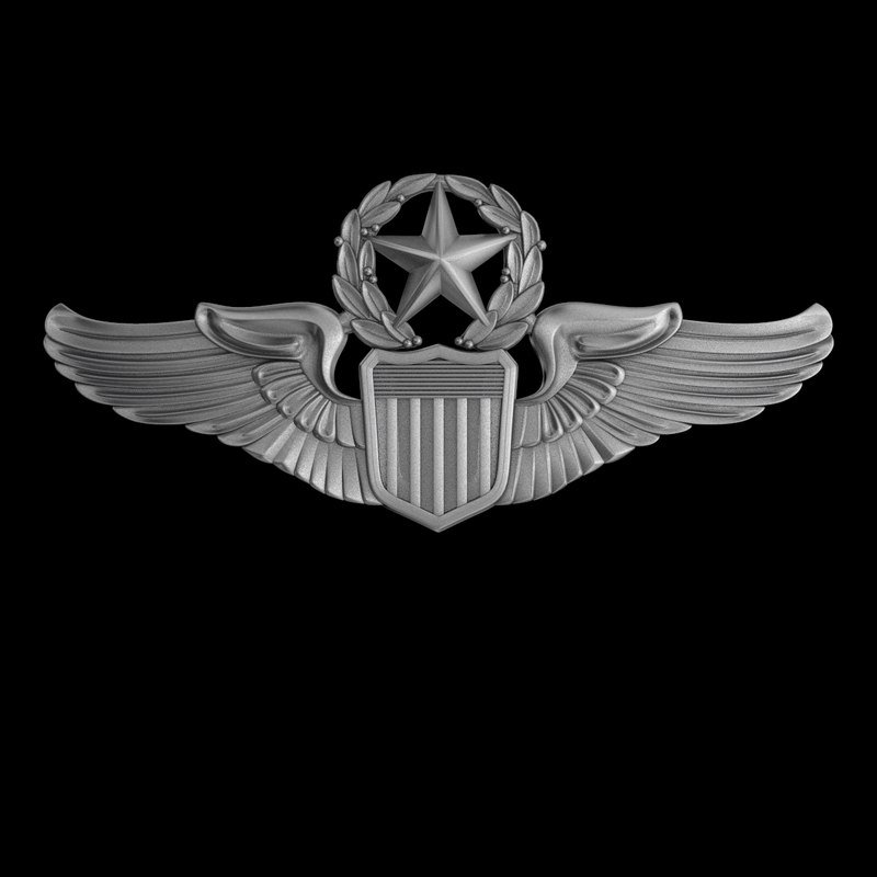 3D usaaf command pilot wings - TurboSquid 1293058