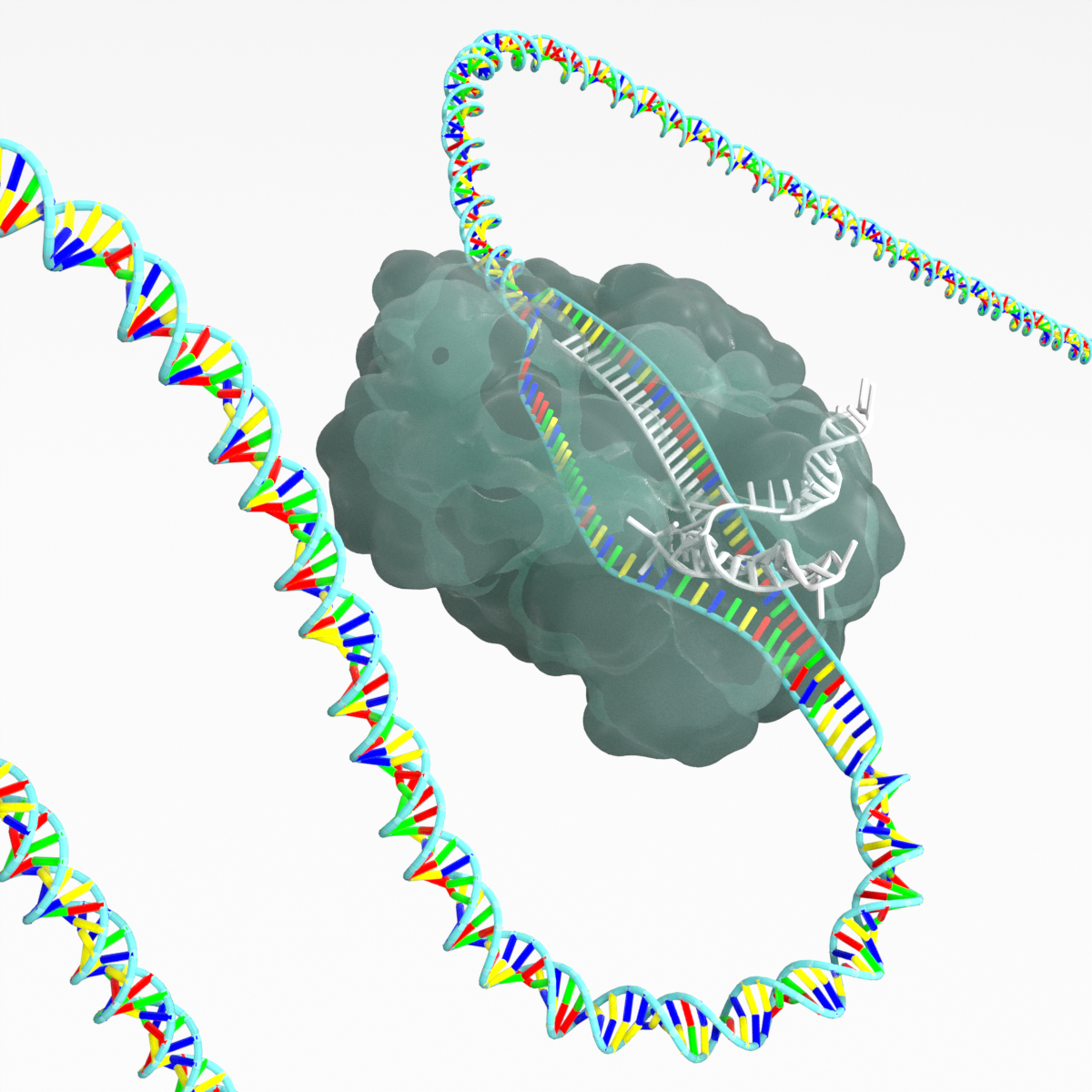 Kompleks edycji genów CRISPR-Cas9 (DNA w stylu dra Model 3D ...