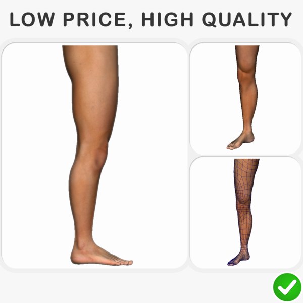 Free 3D Leg Models | TurboSquid