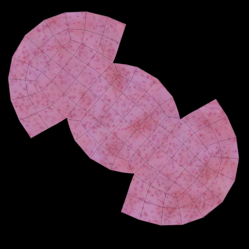 3D staphylococcus aureus bacteria model - TurboSquid 1294243