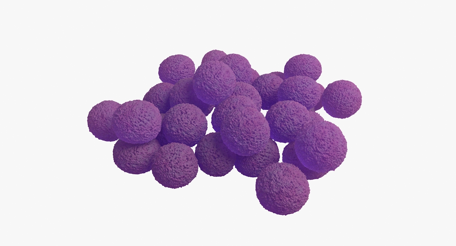 3D staphylococcus aureus bacteria model - TurboSquid 1294243
