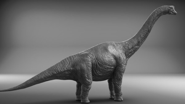 Brachiosaurus 3D model - TurboSquid 1294674
