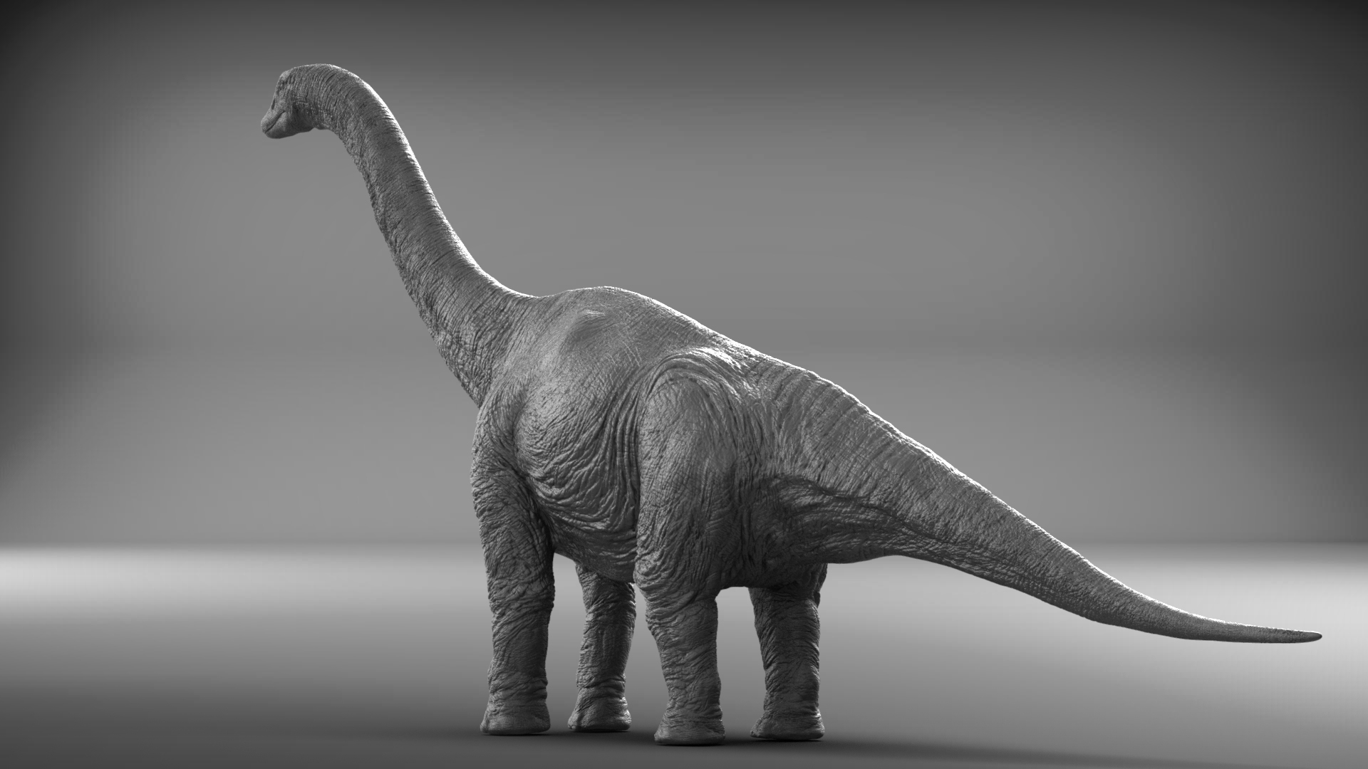 Brachiosaurus 3D model - TurboSquid 1294674