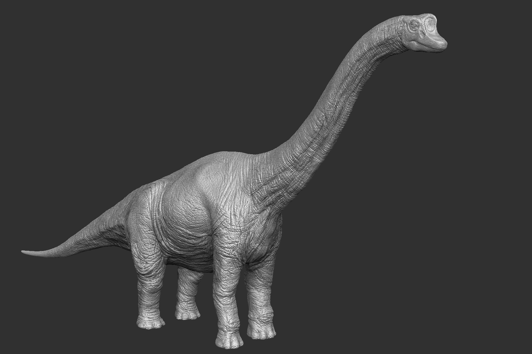Brachiosaurus 3D model - TurboSquid 1294674