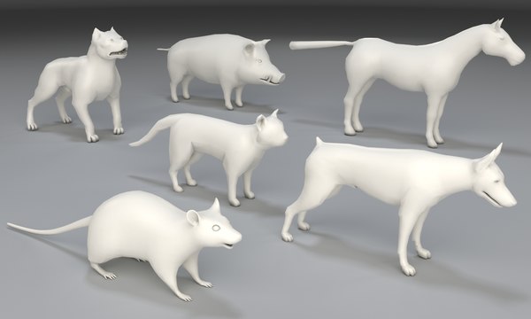 Rat STL Models for Download | TurboSquid