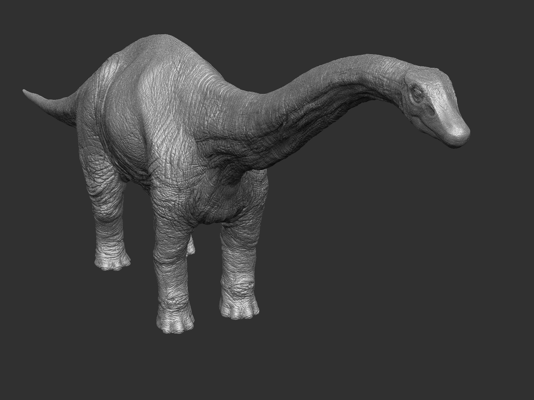 3D diplodocus - TurboSquid 1294905