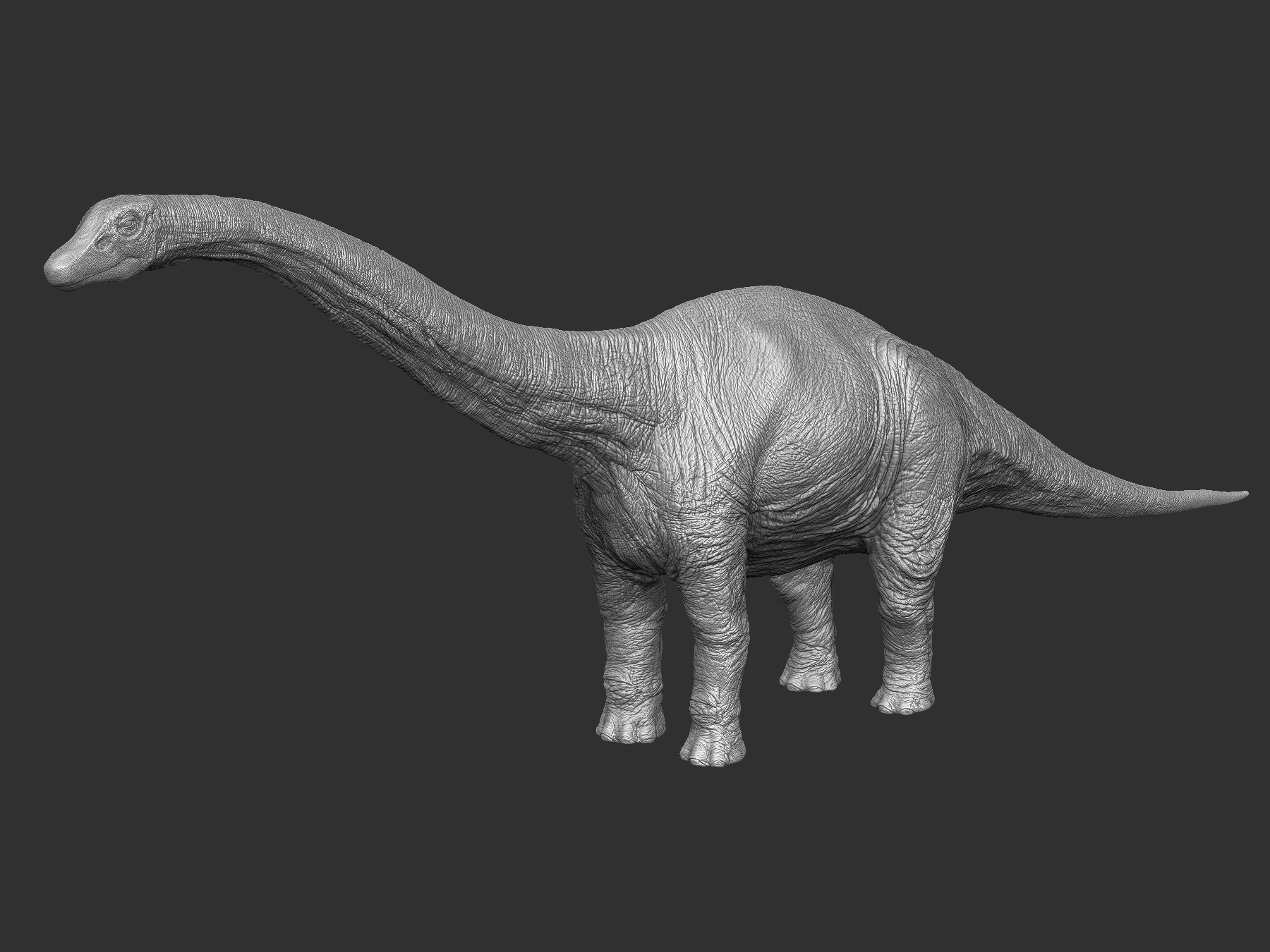 3D diplodocus - TurboSquid 1294905