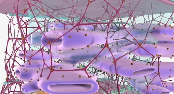 3D cytoskeleton structure cell - TurboSquid 1295229