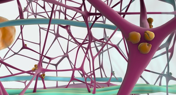 3D cytoskeleton structure cell - TurboSquid 1295229