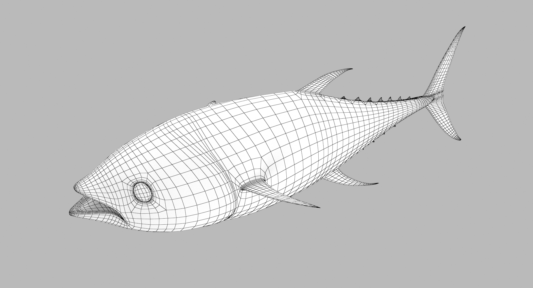 Yellowfin tuna 3D model - TurboSquid 1295530