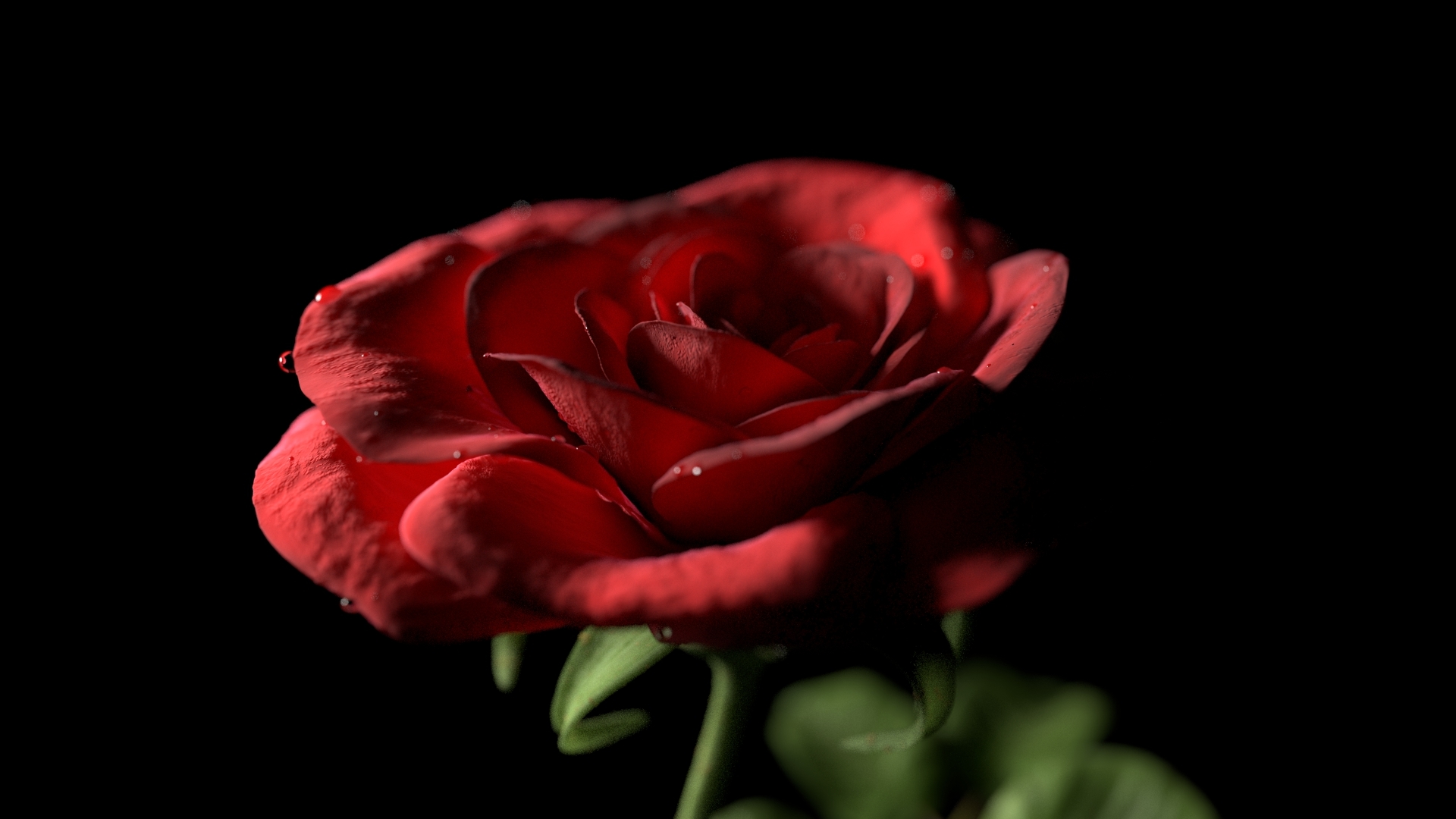 Realistic rose 3D model - TurboSquid 1295533