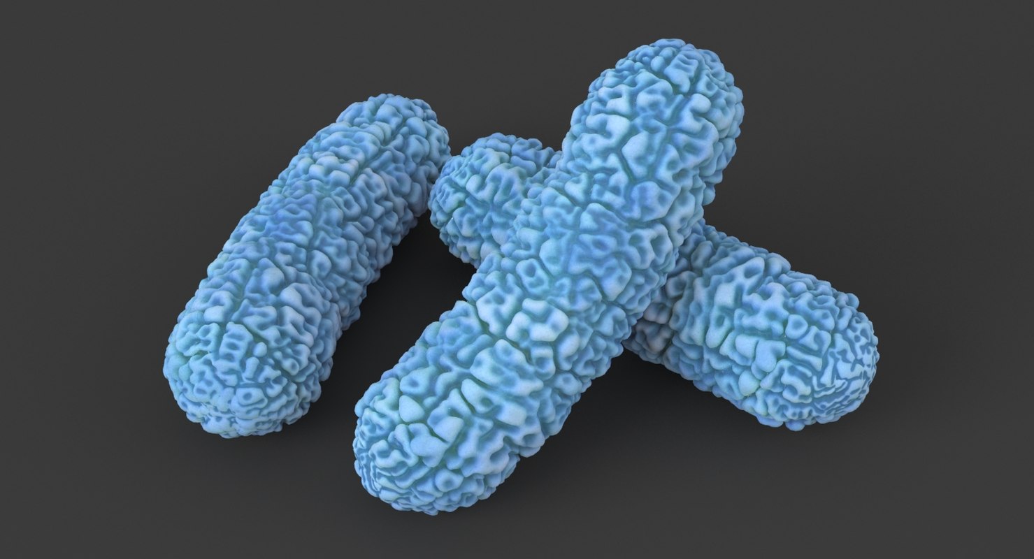 Burkholderia cepacia bacteria model - TurboSquid 1295559