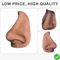 3D Nose Models | TurboSquid