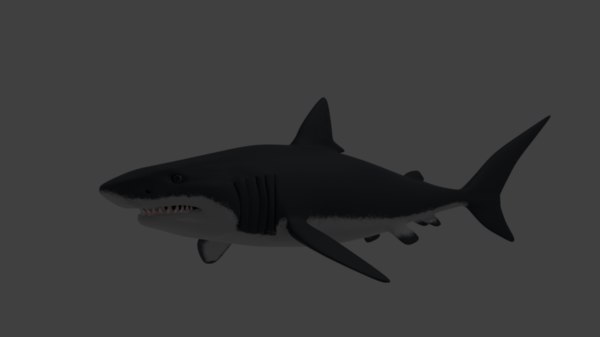 Shark Blender Models for Download | TurboSquid