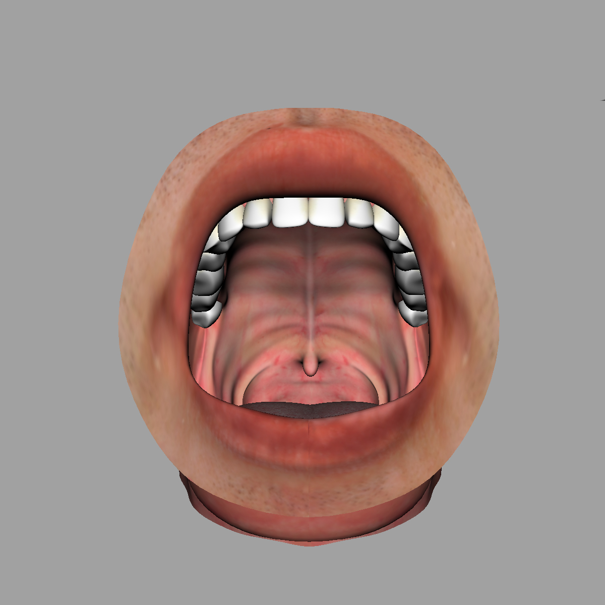 3D realistic rigged human mouth model - TurboSquid 1296066