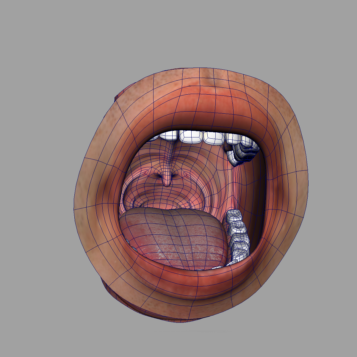 3D realistic rigged human mouth model - TurboSquid 1296066