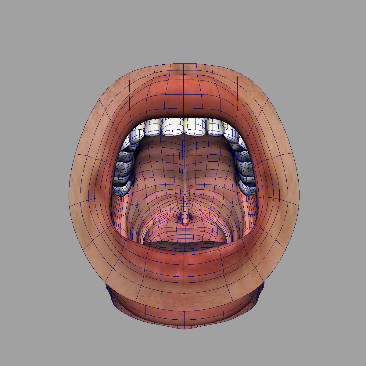 3D realistic rigged human mouth model - TurboSquid 1296066