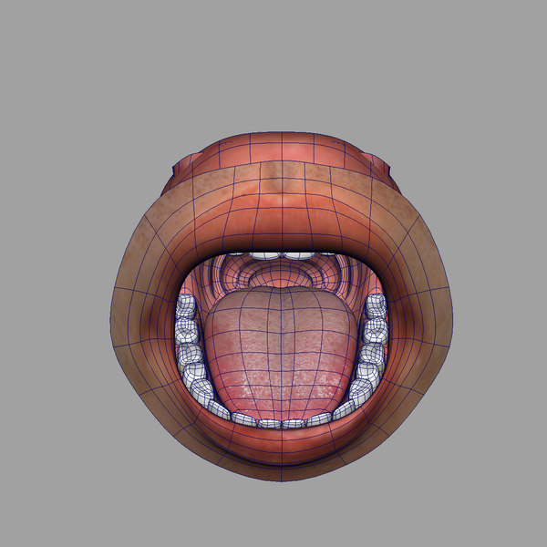 3D realistic rigged human mouth model - TurboSquid 1296066