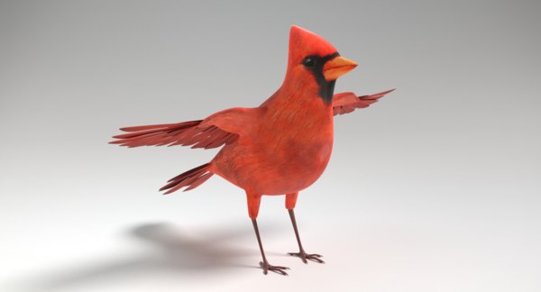 3D cardinal animations model - TurboSquid 1296191