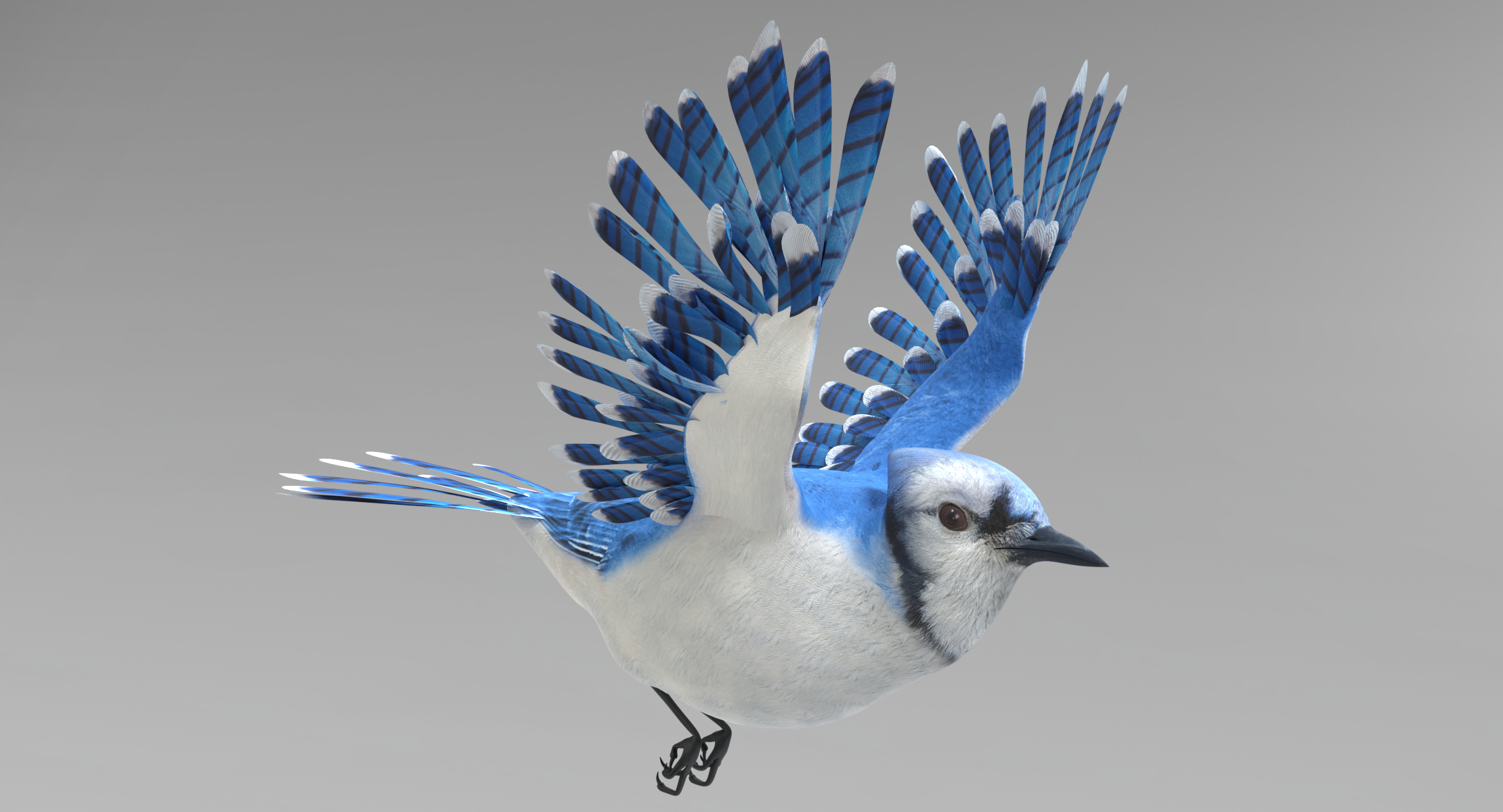 3D set birds owl animations - TurboSquid 1296220