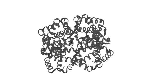 3D hemoglobin haemoglobin protein structure model - TurboSquid 1296332