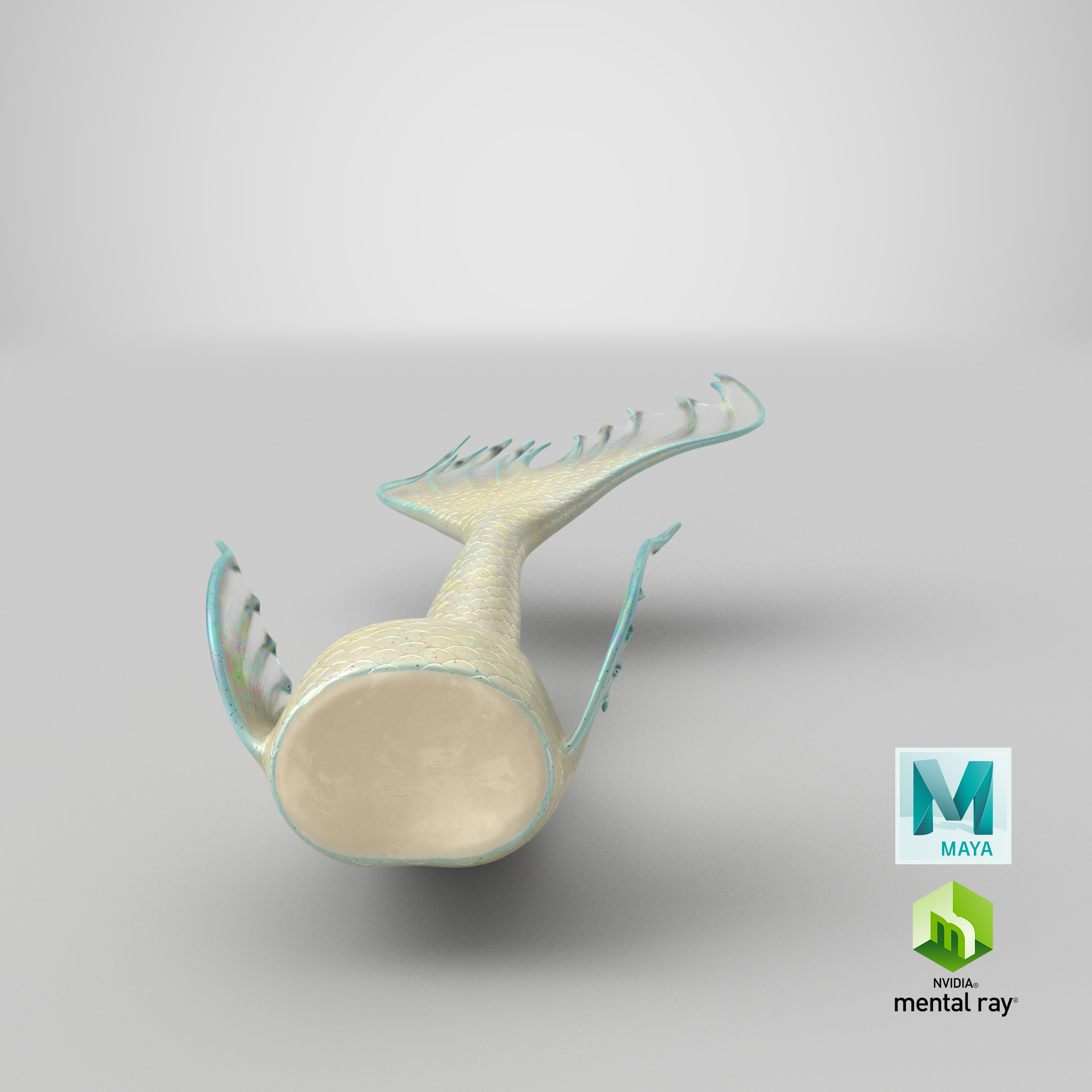 3D mermaid tail - TurboSquid 1296701