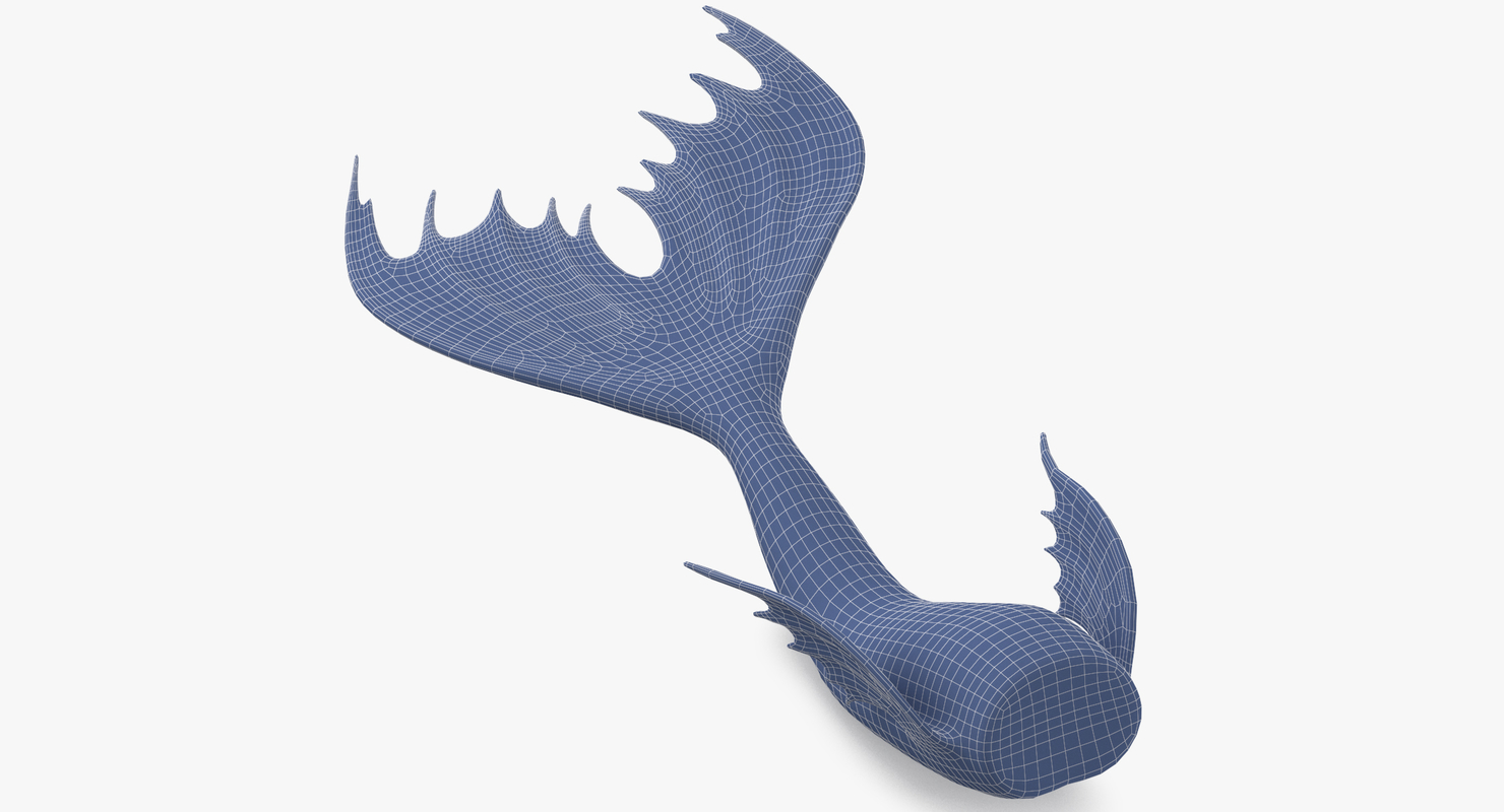 3D mermaid tail - TurboSquid 1296701