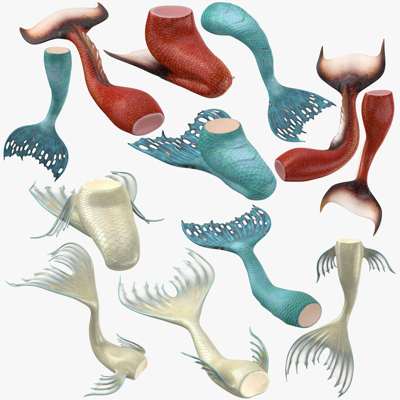 3D mermaid tail - TurboSquid 1296701