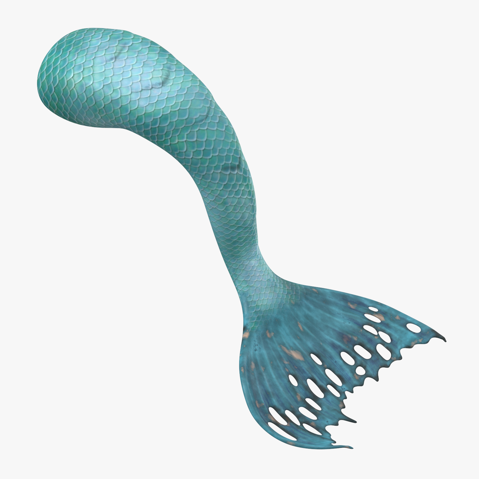 3D mermaid tail - TurboSquid 1296701