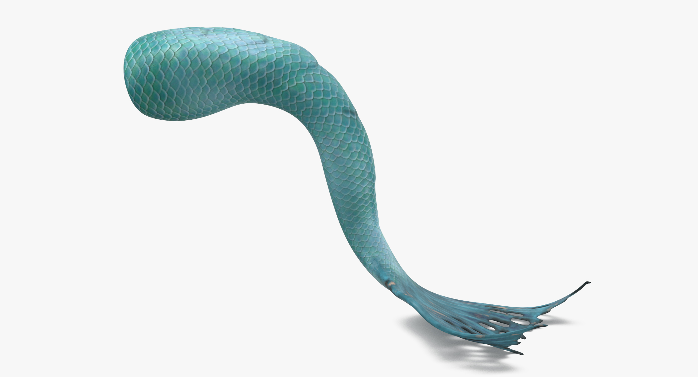 3D mermaid tail - TurboSquid 1296701