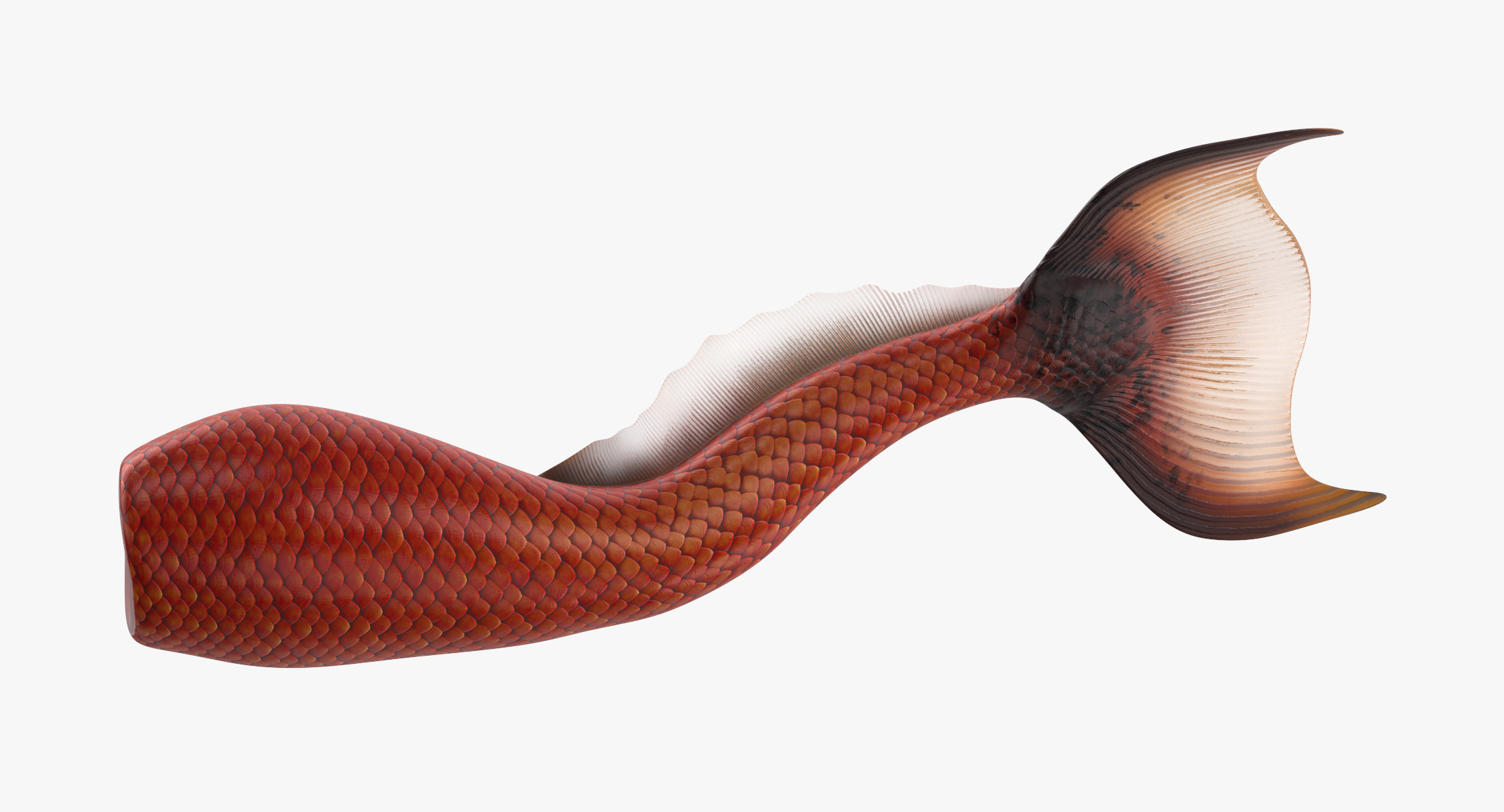 3D mermaid tail - TurboSquid 1296701