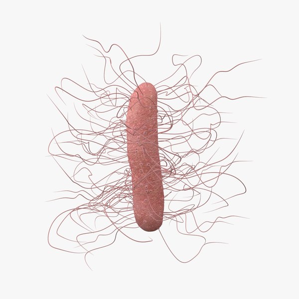 Bacteria 3D Models for Download | TurboSquid