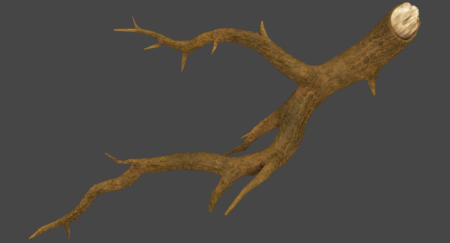 Tree branch 3D - TurboSquid 1297699