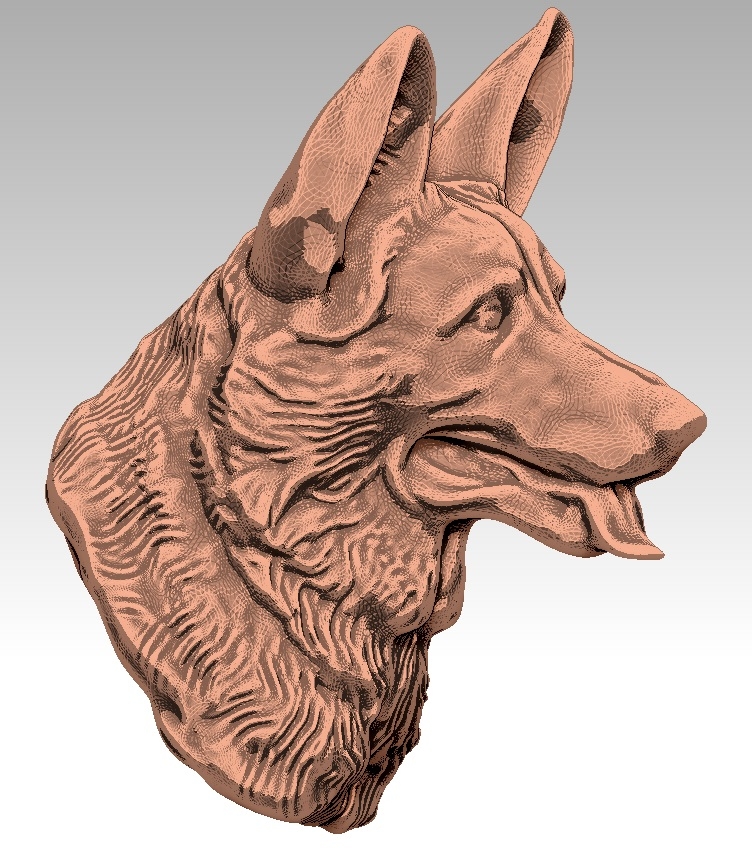 3D model dog head - TurboSquid 1298163