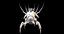 Crawler creature 3D - TurboSquid 1298327