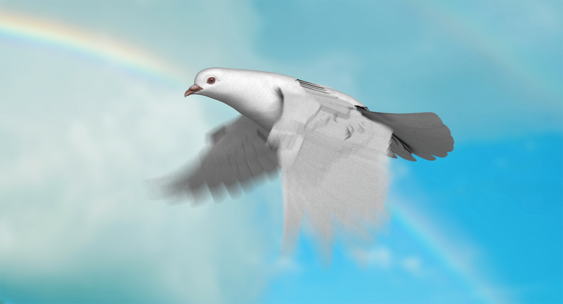 White dove animation 3D - TurboSquid 1298649