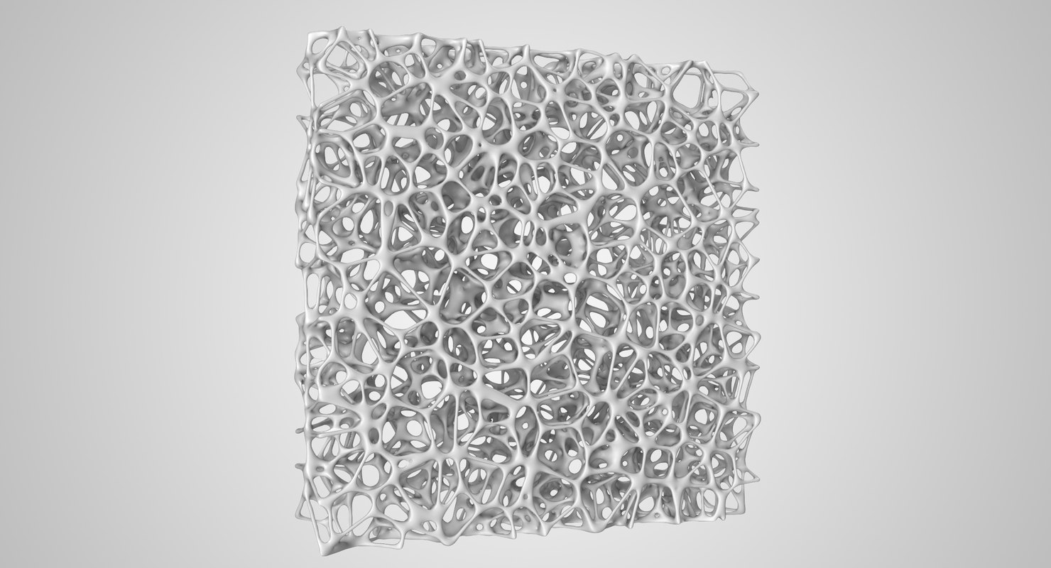 Bone matrix rectangle 3D model - TurboSquid 1298759