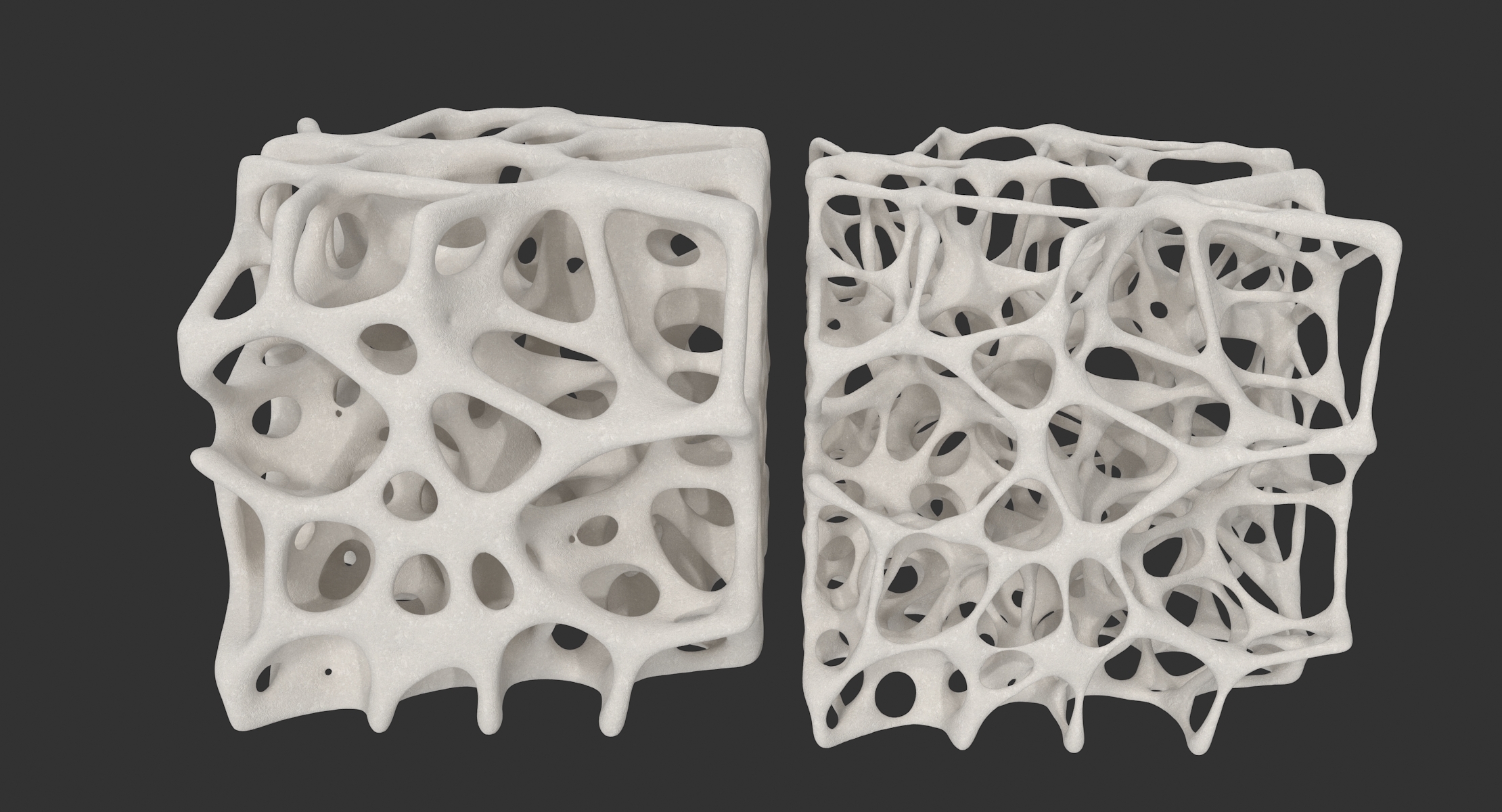 3D square bone structure model - TurboSquid 1298833