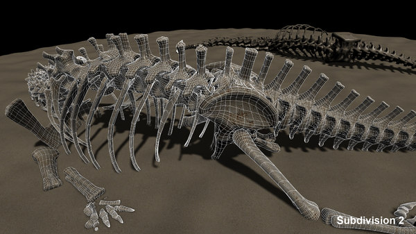 Diplodocus skeleton model - TurboSquid 1299043