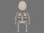 Cartoon skeleton chibi model - TurboSquid 1299397