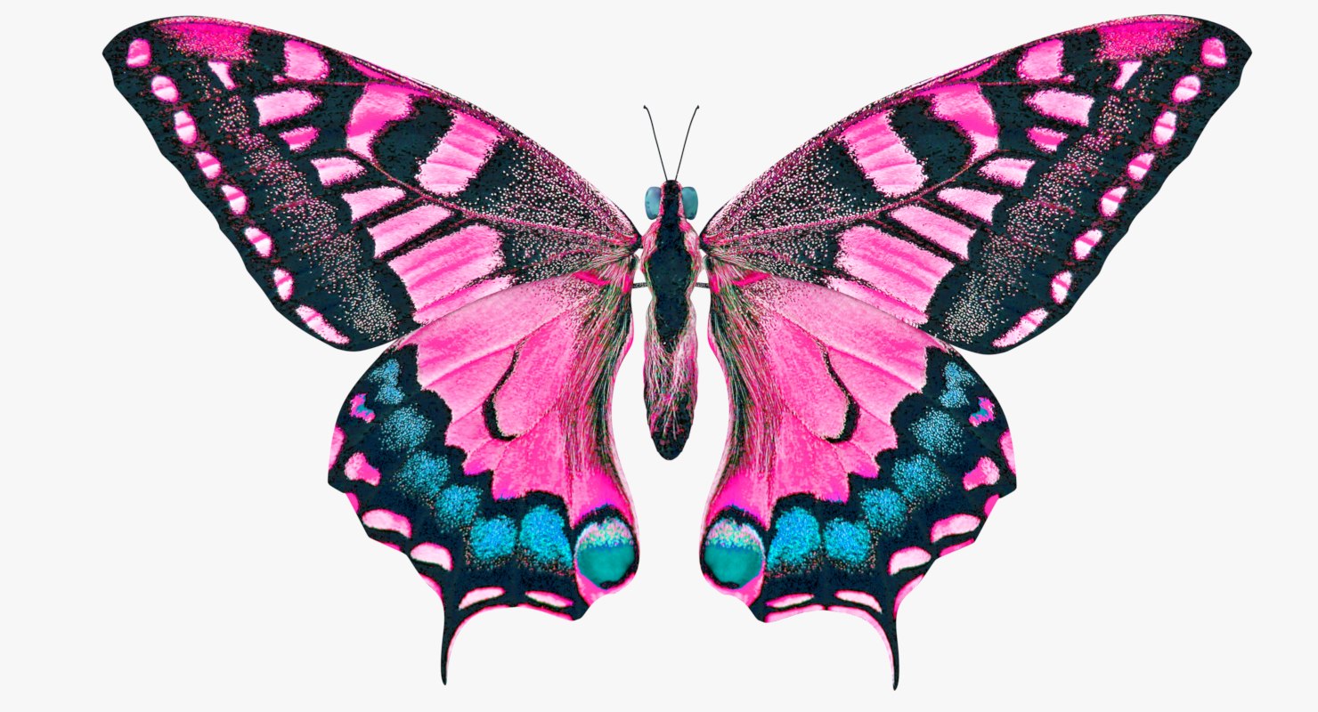 Butterfly pink 3D - TurboSquid 1300370
