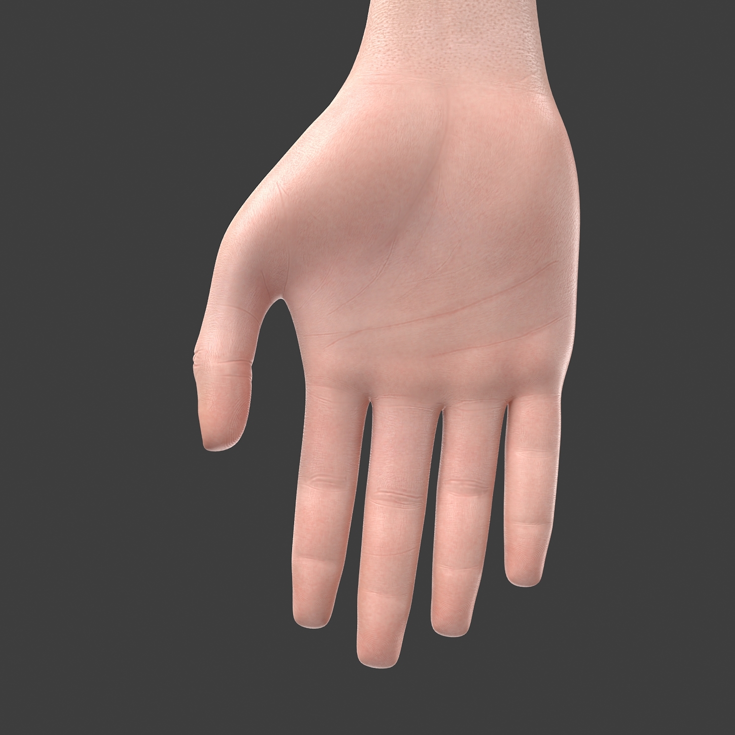 Realistic Hand 3D Model TurboSquid 1300744 Realistic Hand 3D Model TurboSquid 1300744