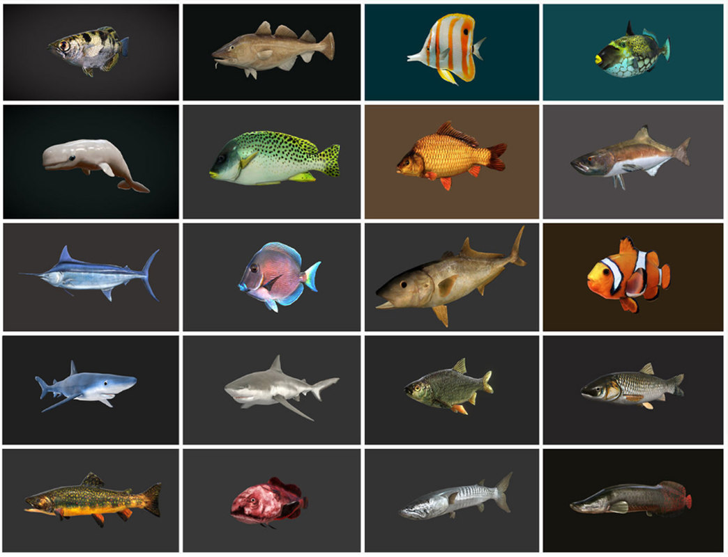 3D model fish - ready pack 1 - TurboSquid 1300783