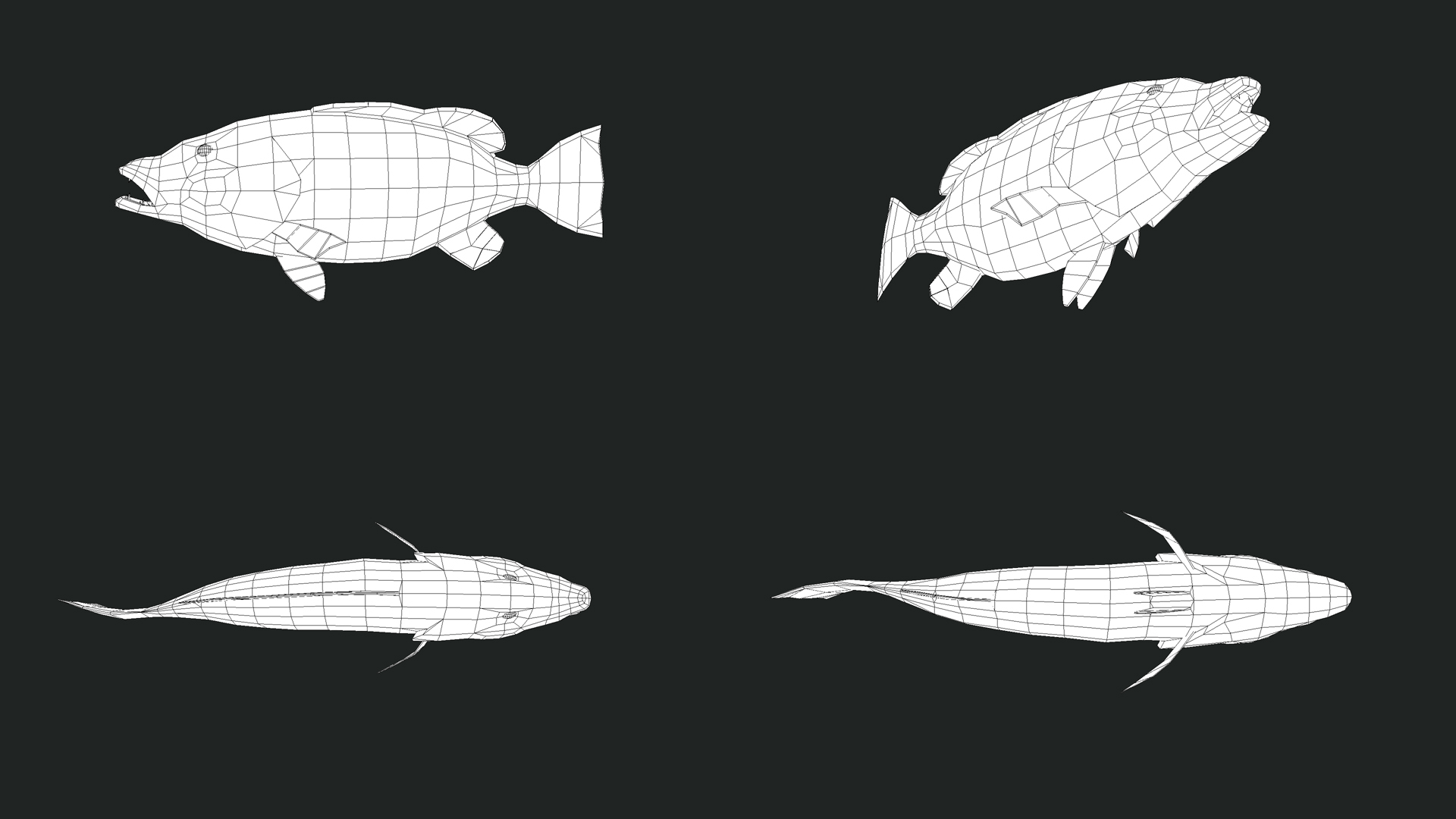 3D fish - ready pack 2 - TurboSquid 1300835