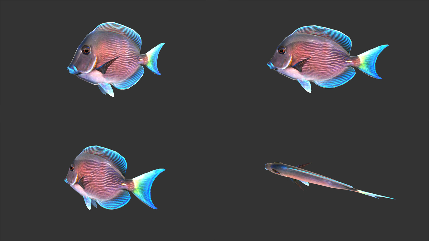 3D fish - ready pack 2 - TurboSquid 1300835