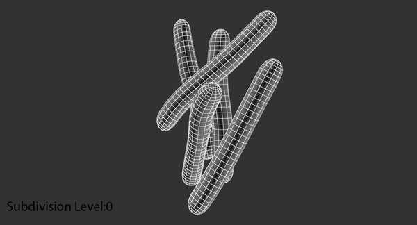Mycobacterium tuberculosis bacteria 3D model - TurboSquid 1302149