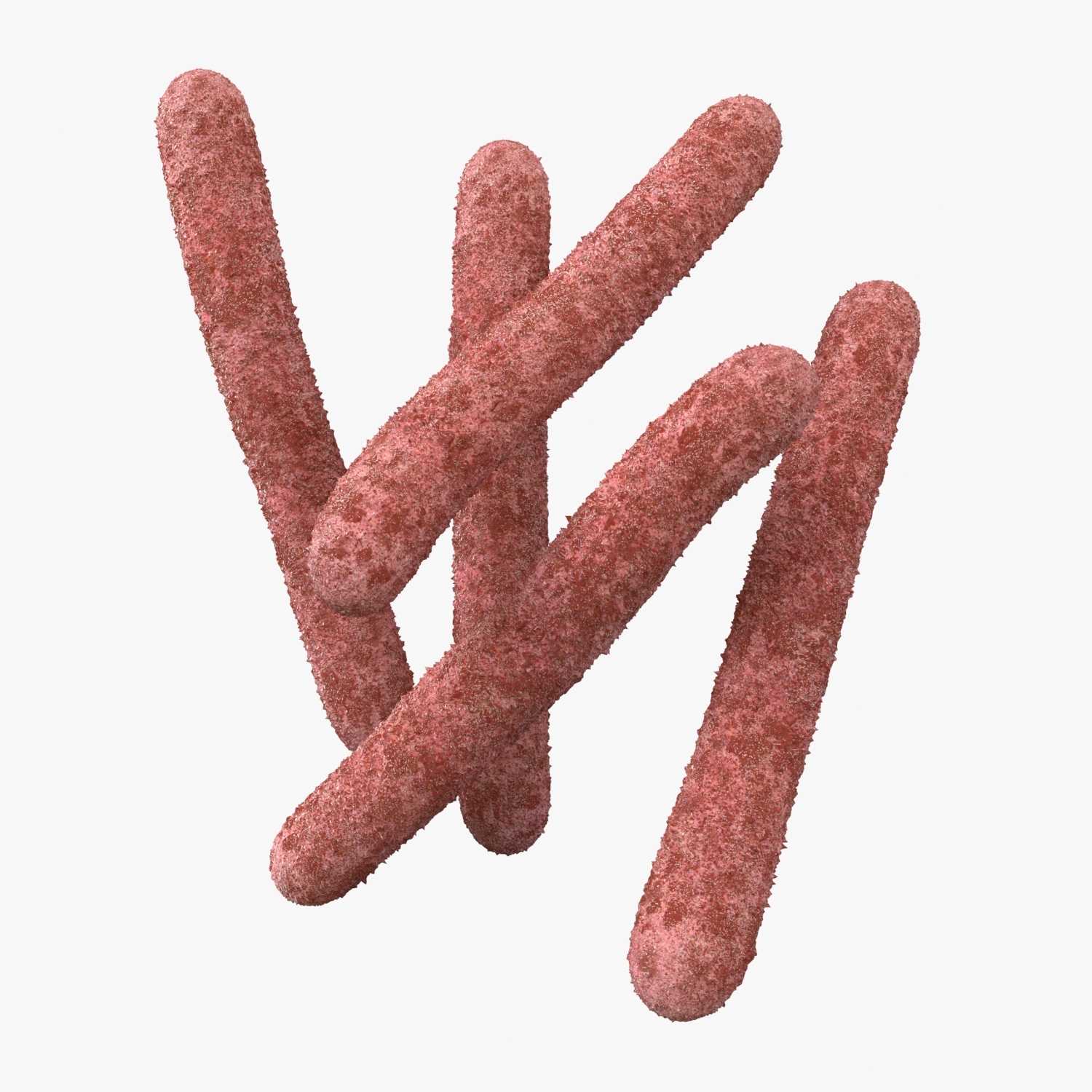 Mycobacterium tuberculosis bacteria 3D model - TurboSquid 1302149